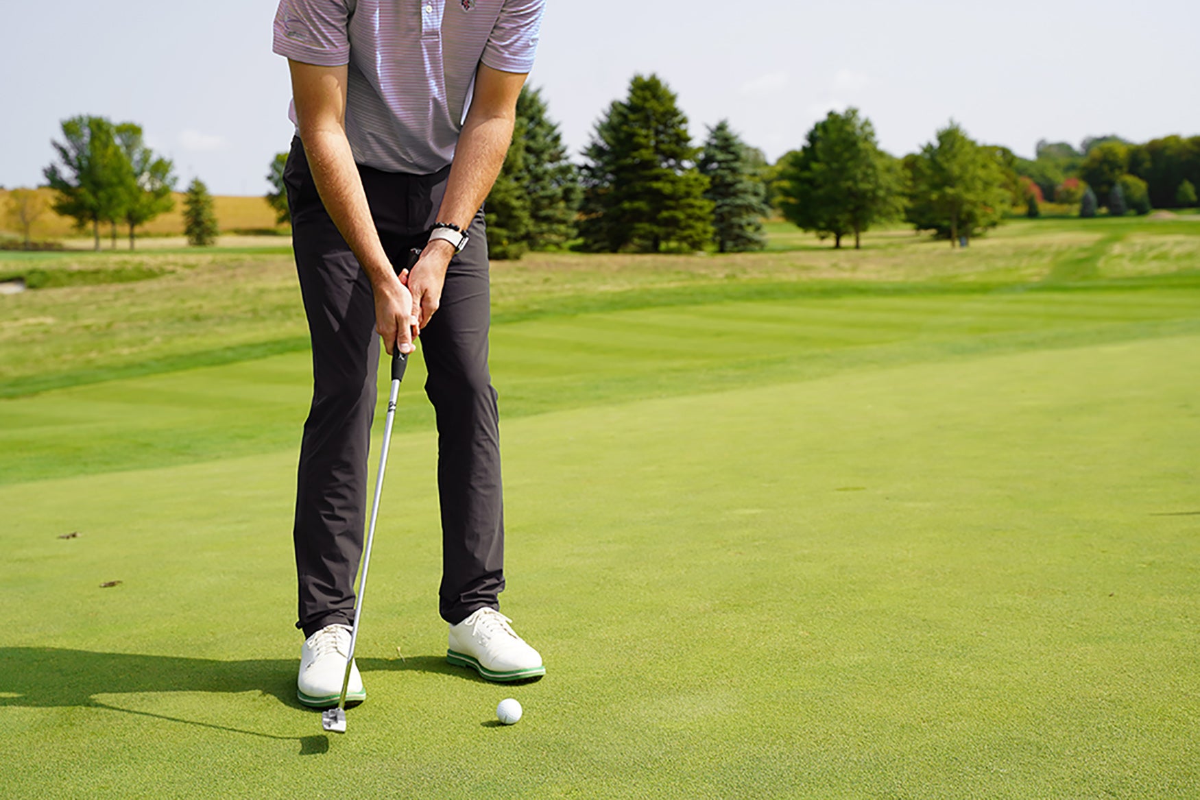 Radial vs Linear Putting Stroke – Edel Golf